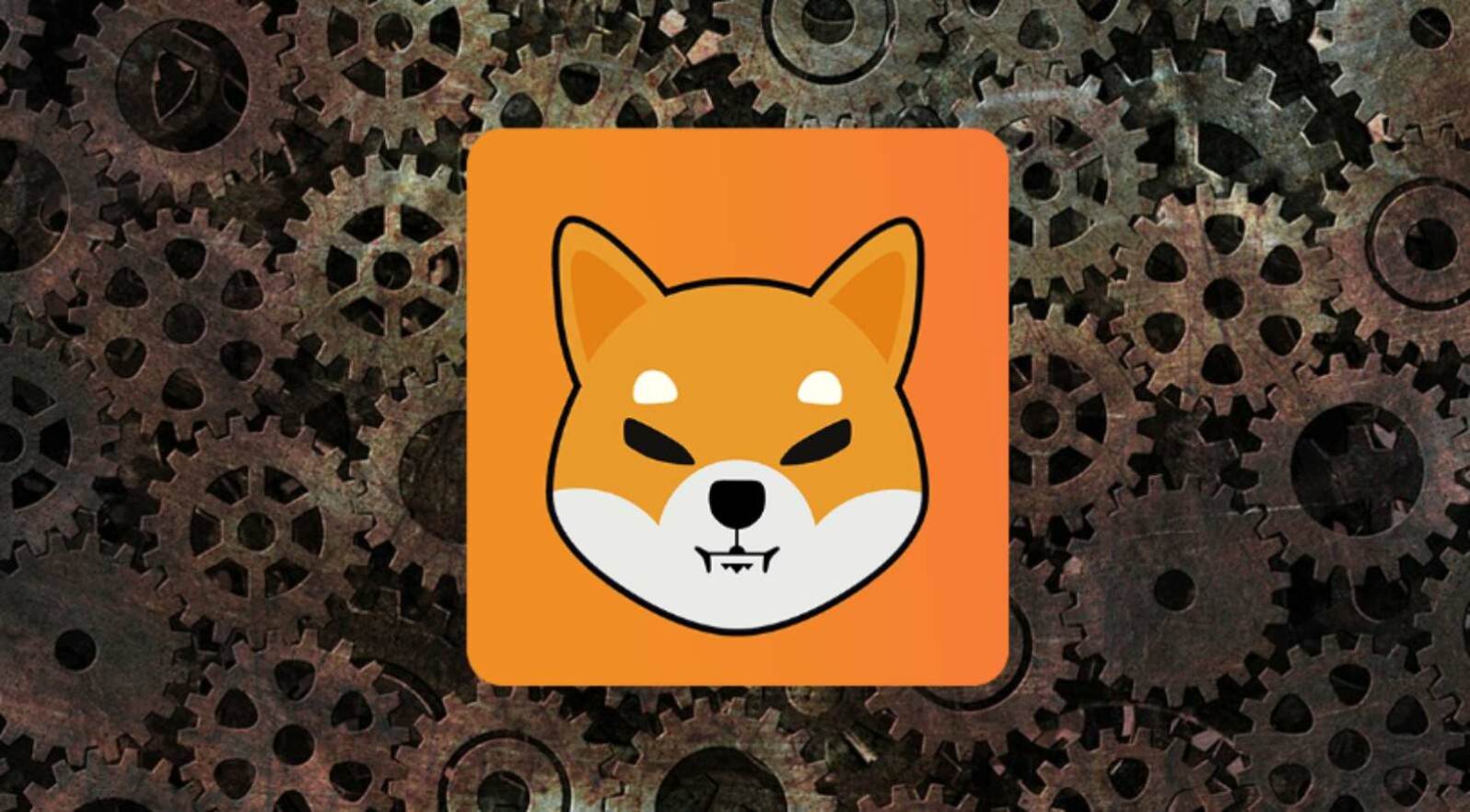 Shiba Hub, l'app che amplia le funzionalità di Shibarium - Cryptofacili.com